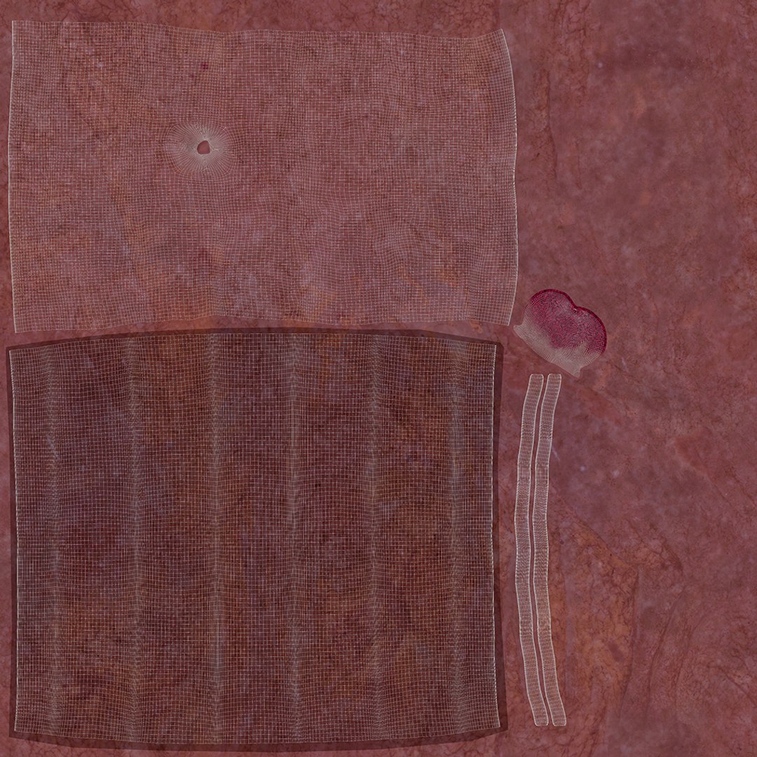 Polyp Digestive 3d Model