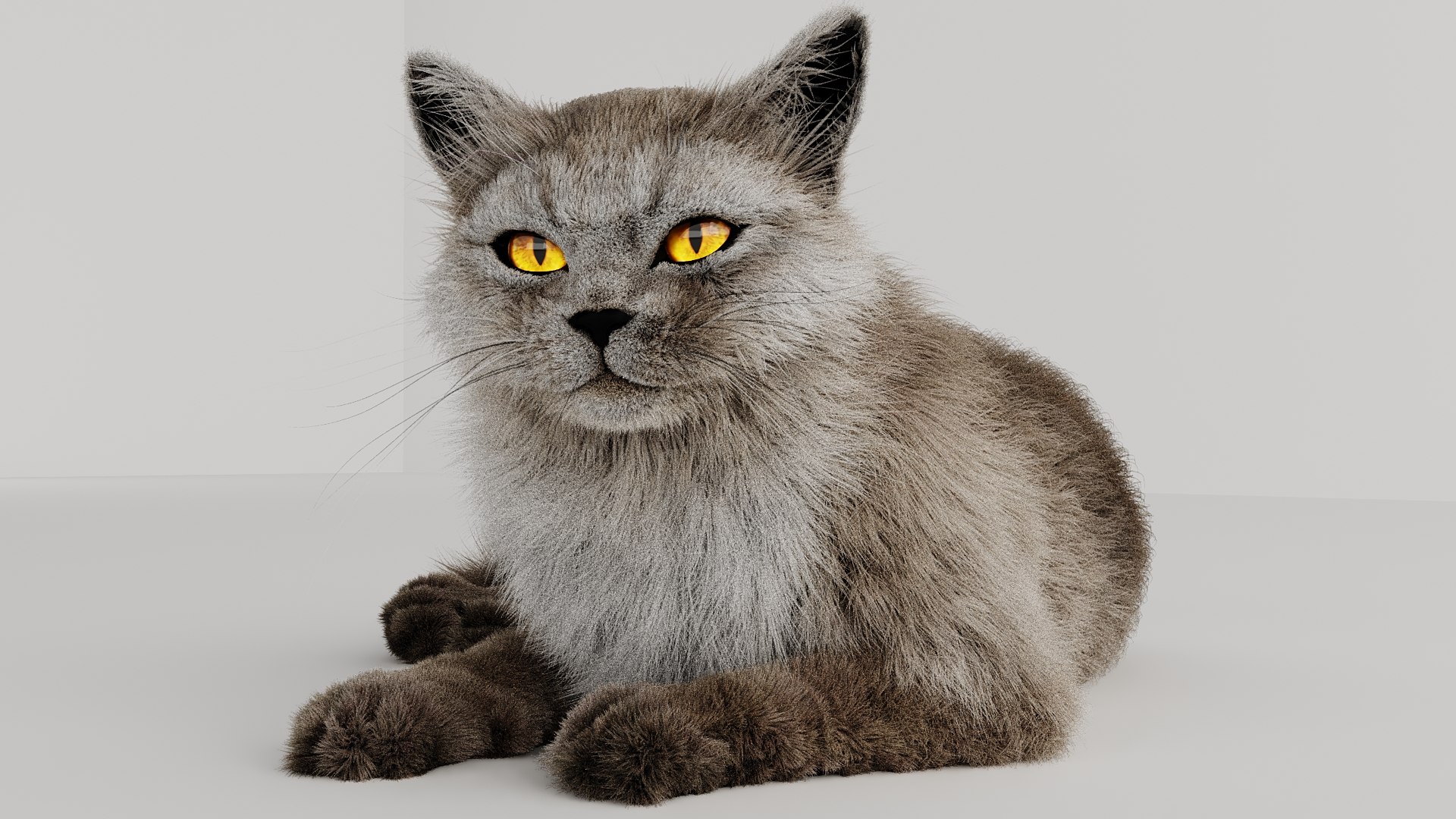 Cat Animal Model - TurboSquid 2103210