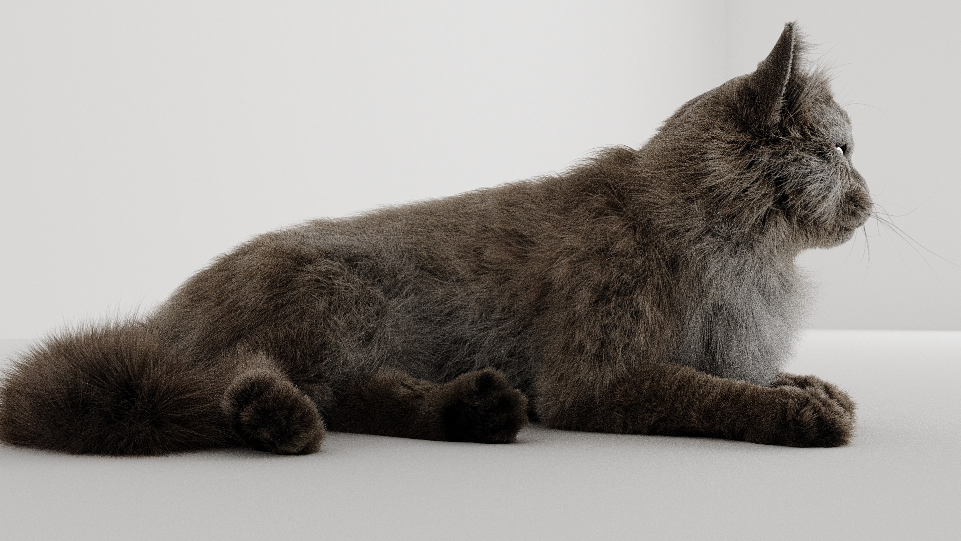 Cat Animal Model - TurboSquid 2103210