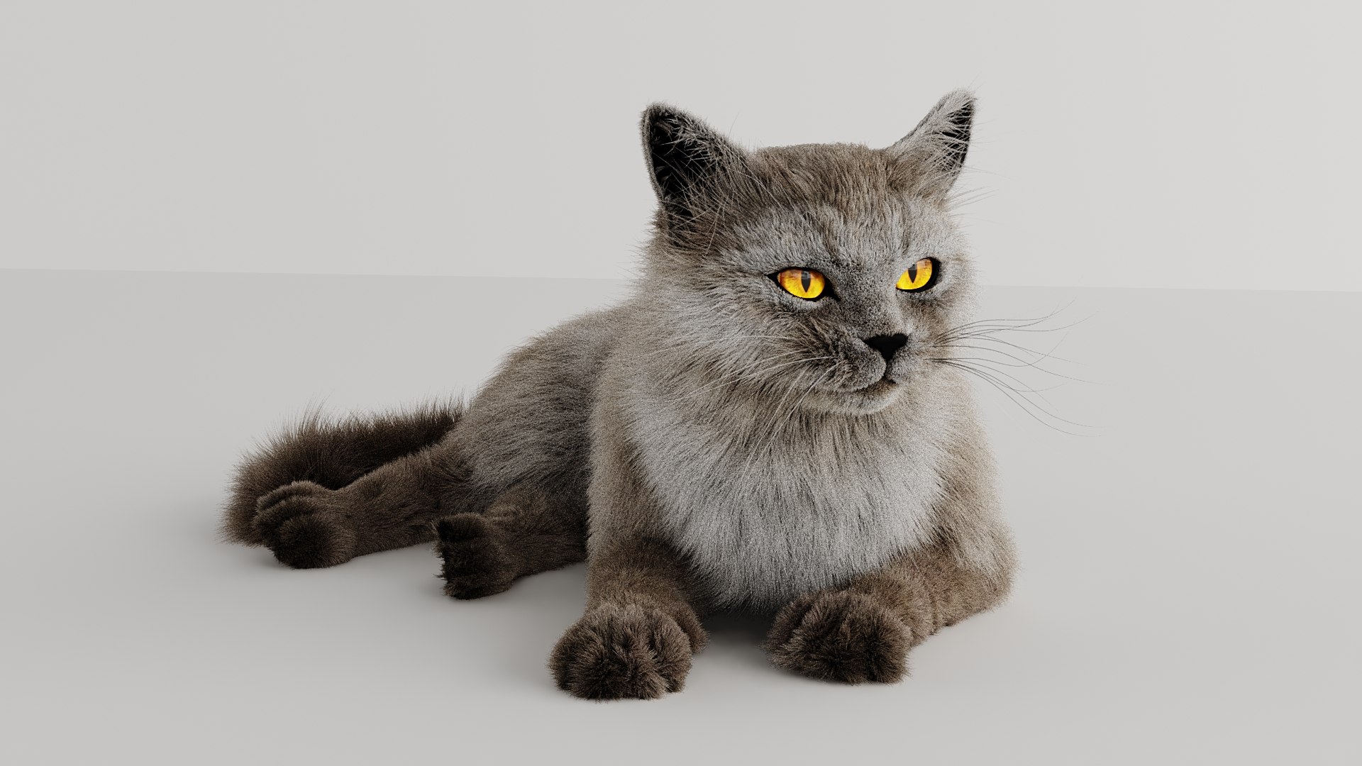 Cat Animal Model - TurboSquid 2103210