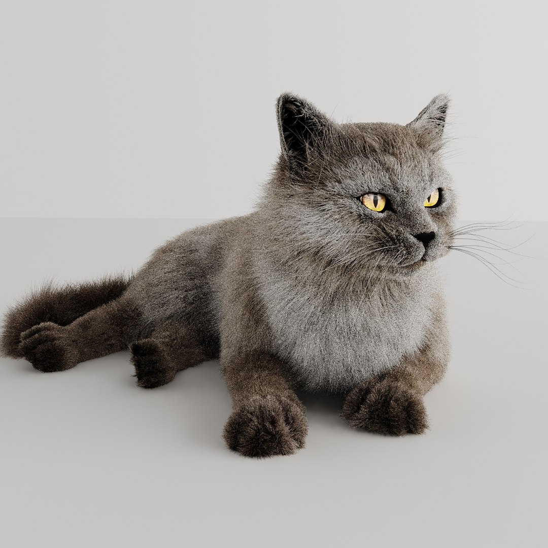 Cat Animal Model - TurboSquid 2103210