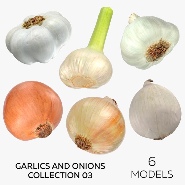 3D Garlic Models | TurboSquid