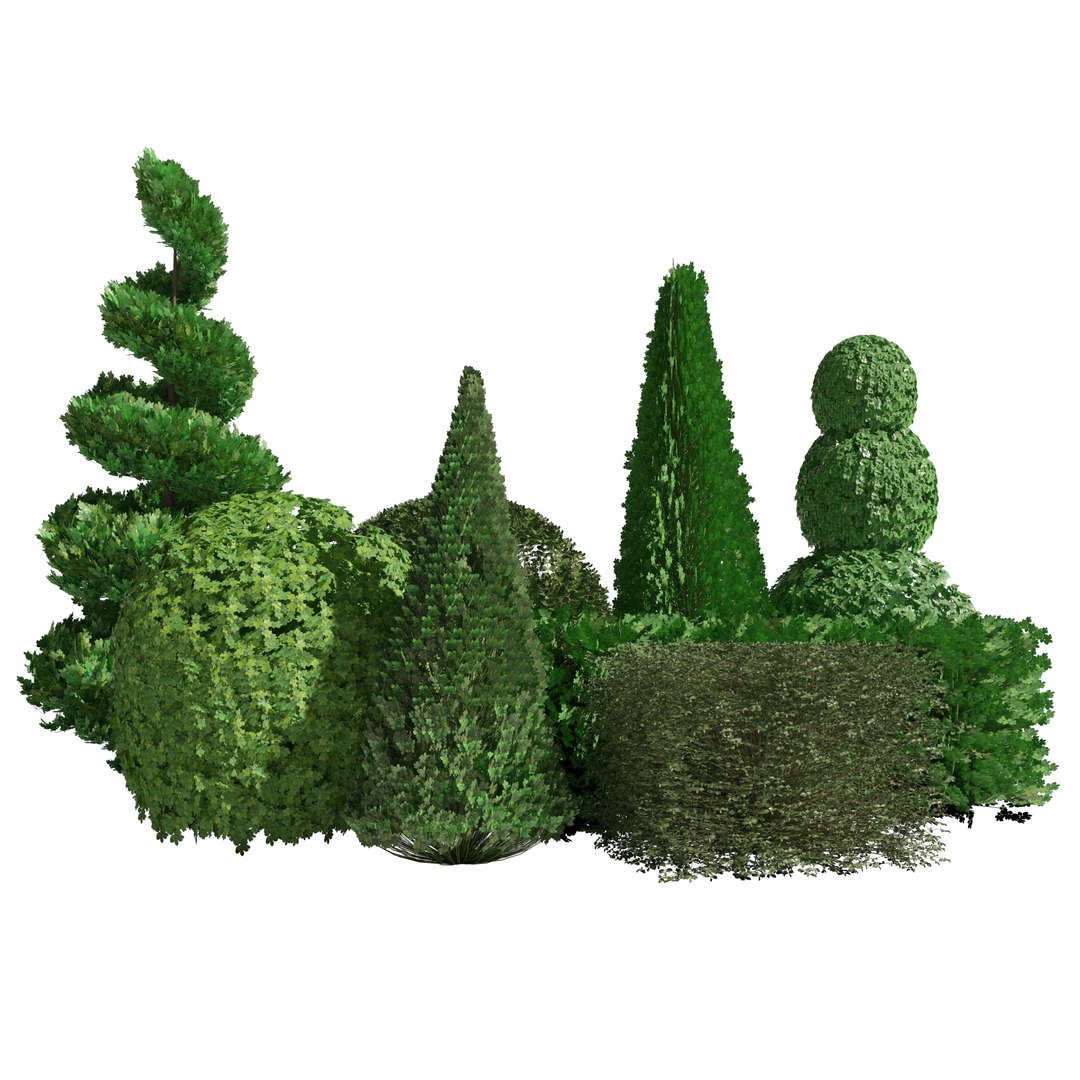 3D Model Suffruticosa Boxwood Topiary 3d Collection - TurboSquid 2174297
