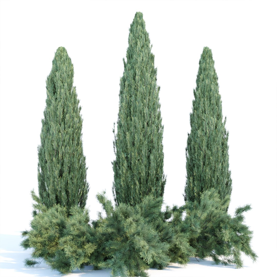 3D Model Outdoor Junipers Collection Vol 99 - TurboSquid 1973686