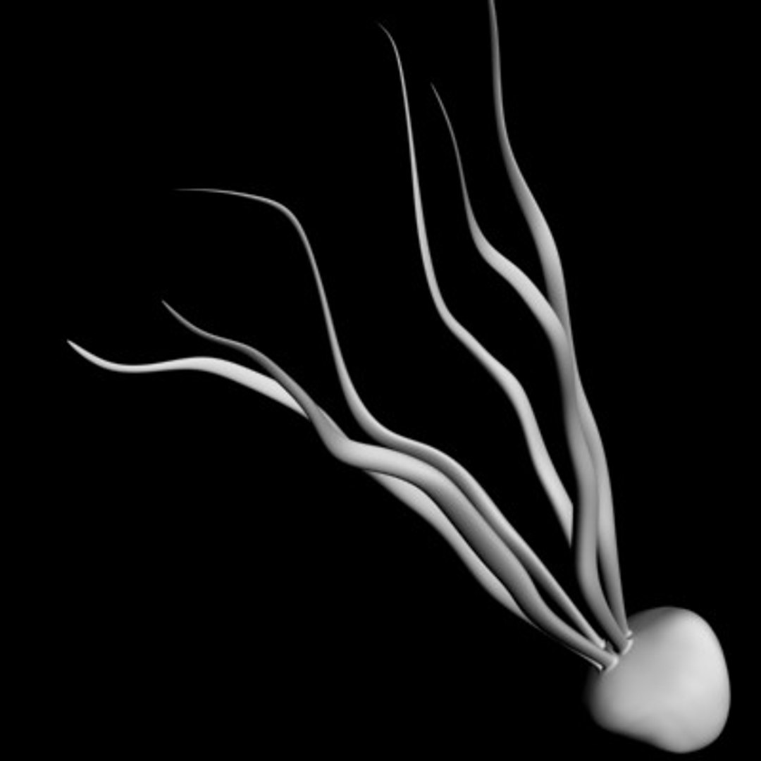 microscopic jellyfish cell 1 3d model