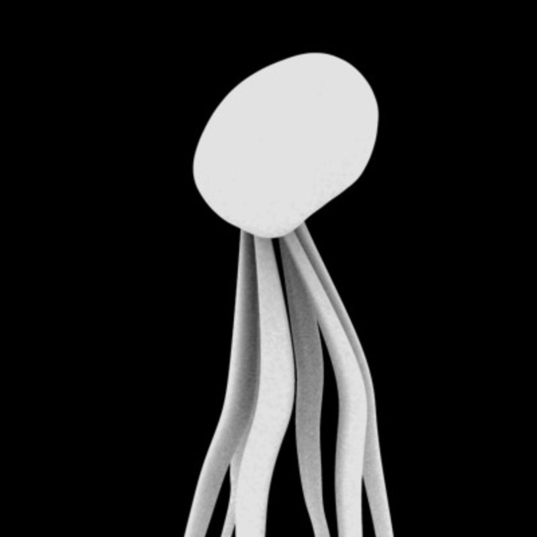 microscopic jellyfish cell 1 3d model