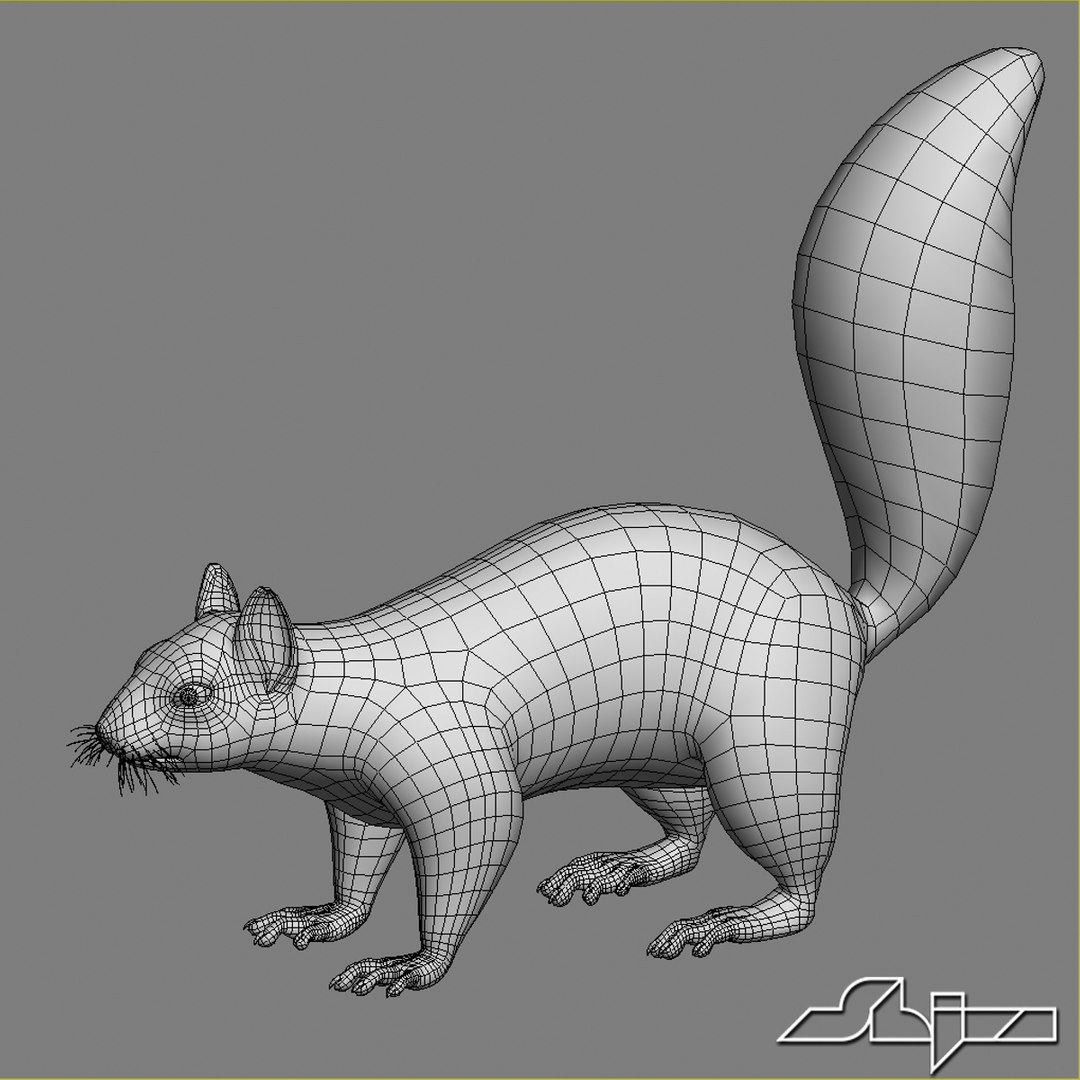 3d Squirrel Modeled