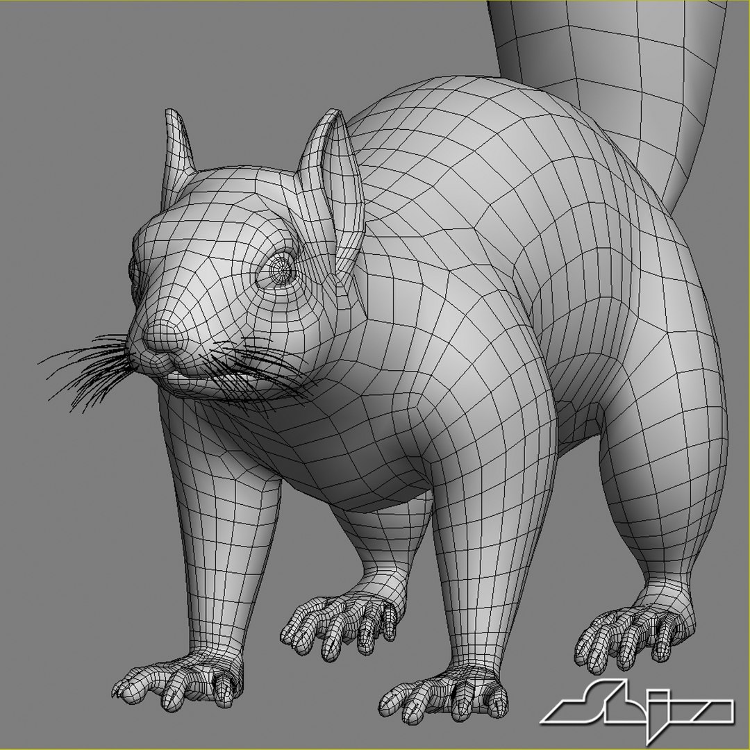 3d Squirrel Modeled