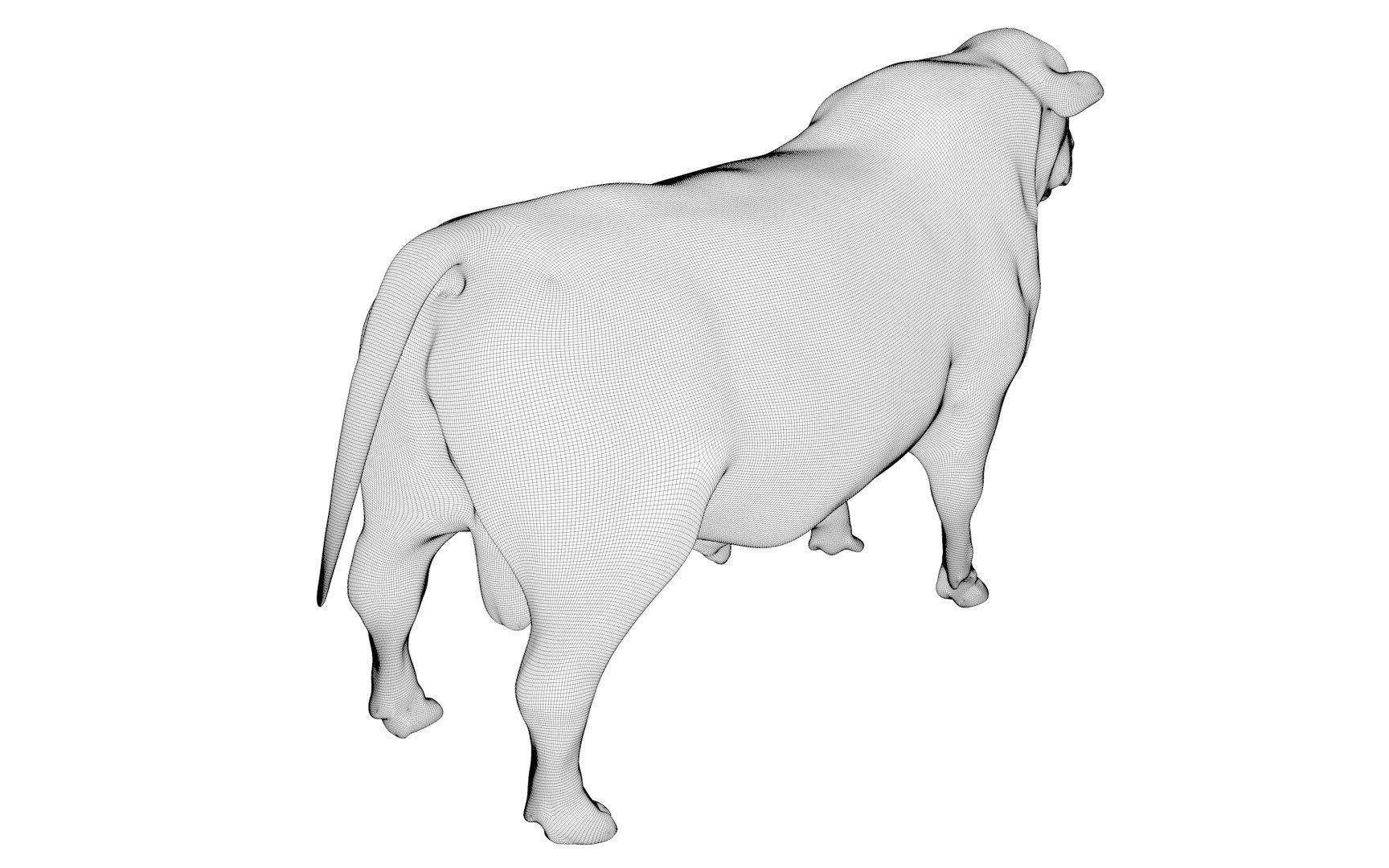 3D RED ANGUS L2062 - TurboSquid 2153527