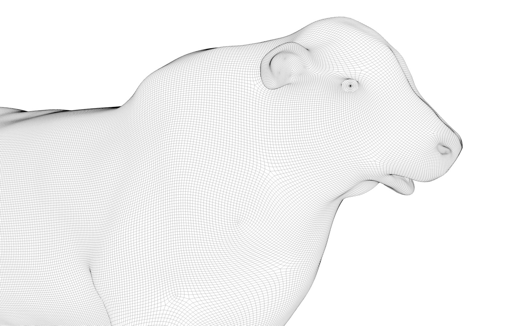 3D RED ANGUS Rigged L2062 - TurboSquid 2153527