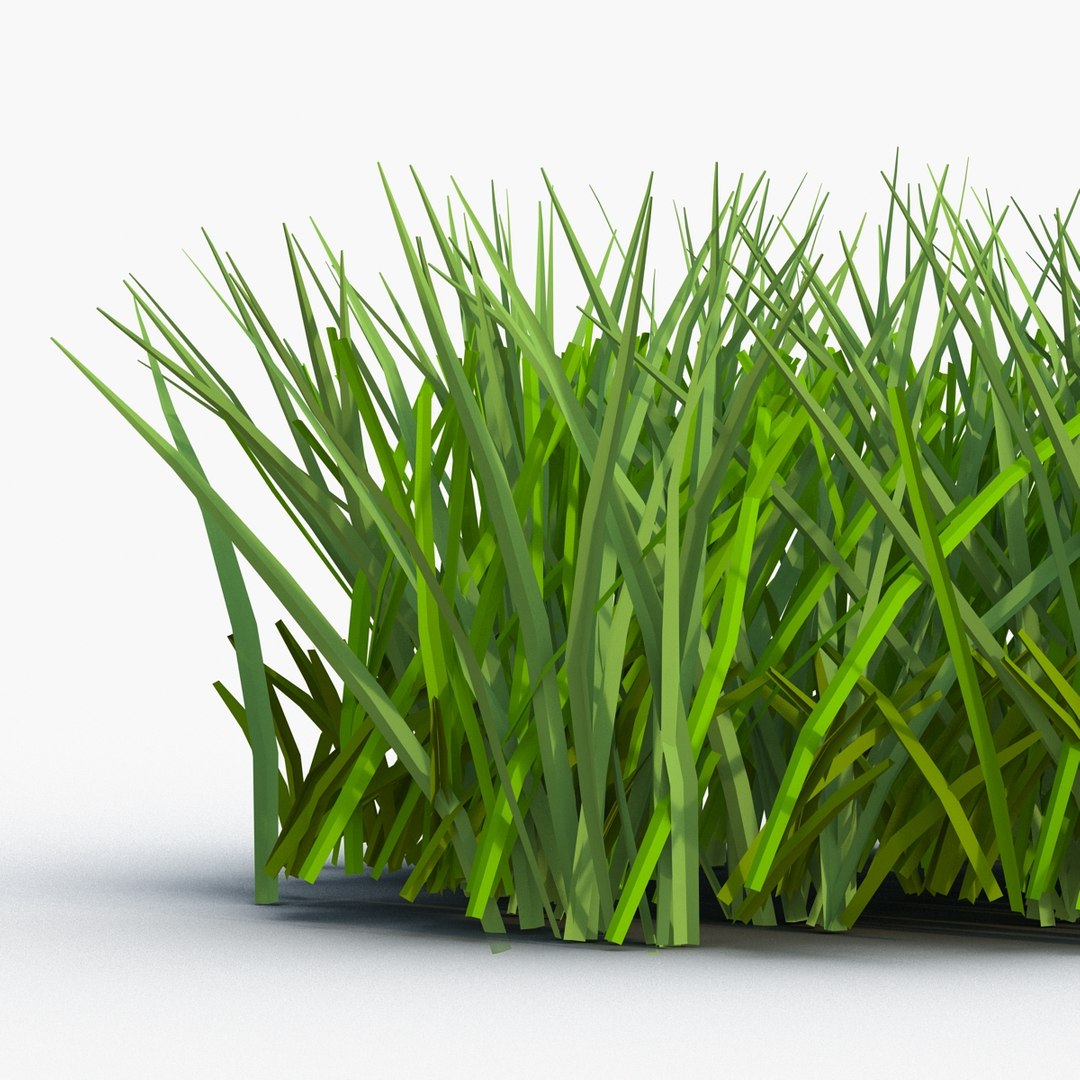 3d Grass 2