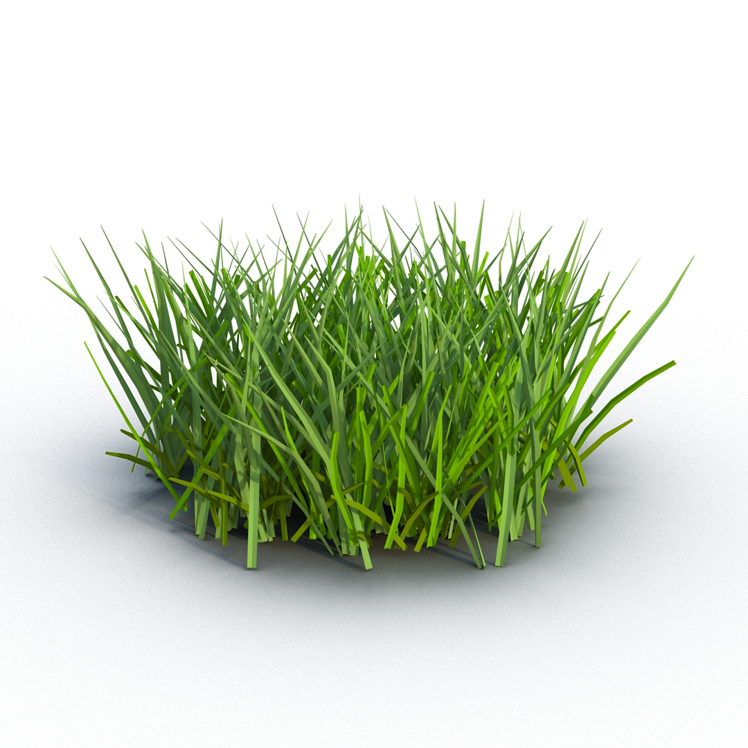 3d Grass 2