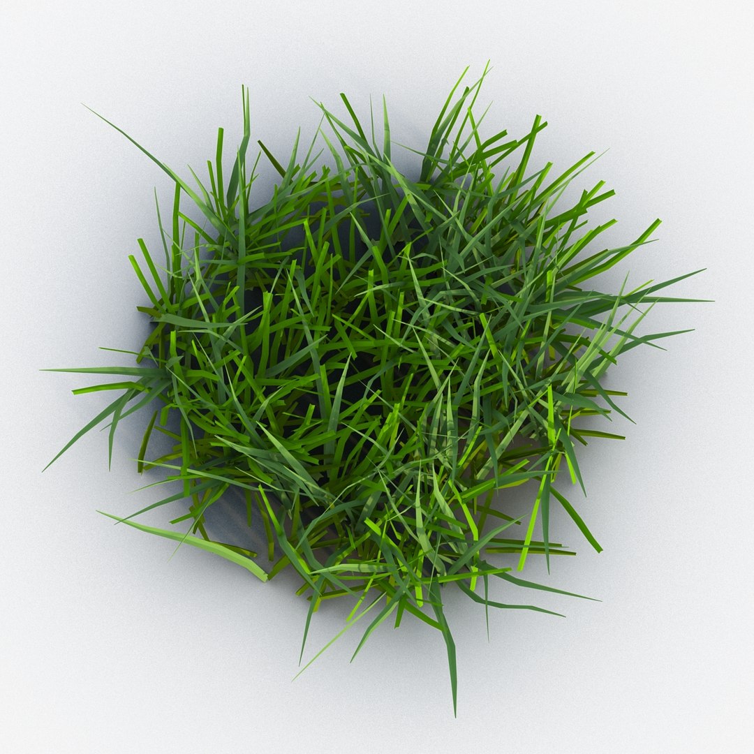 3d Grass 2