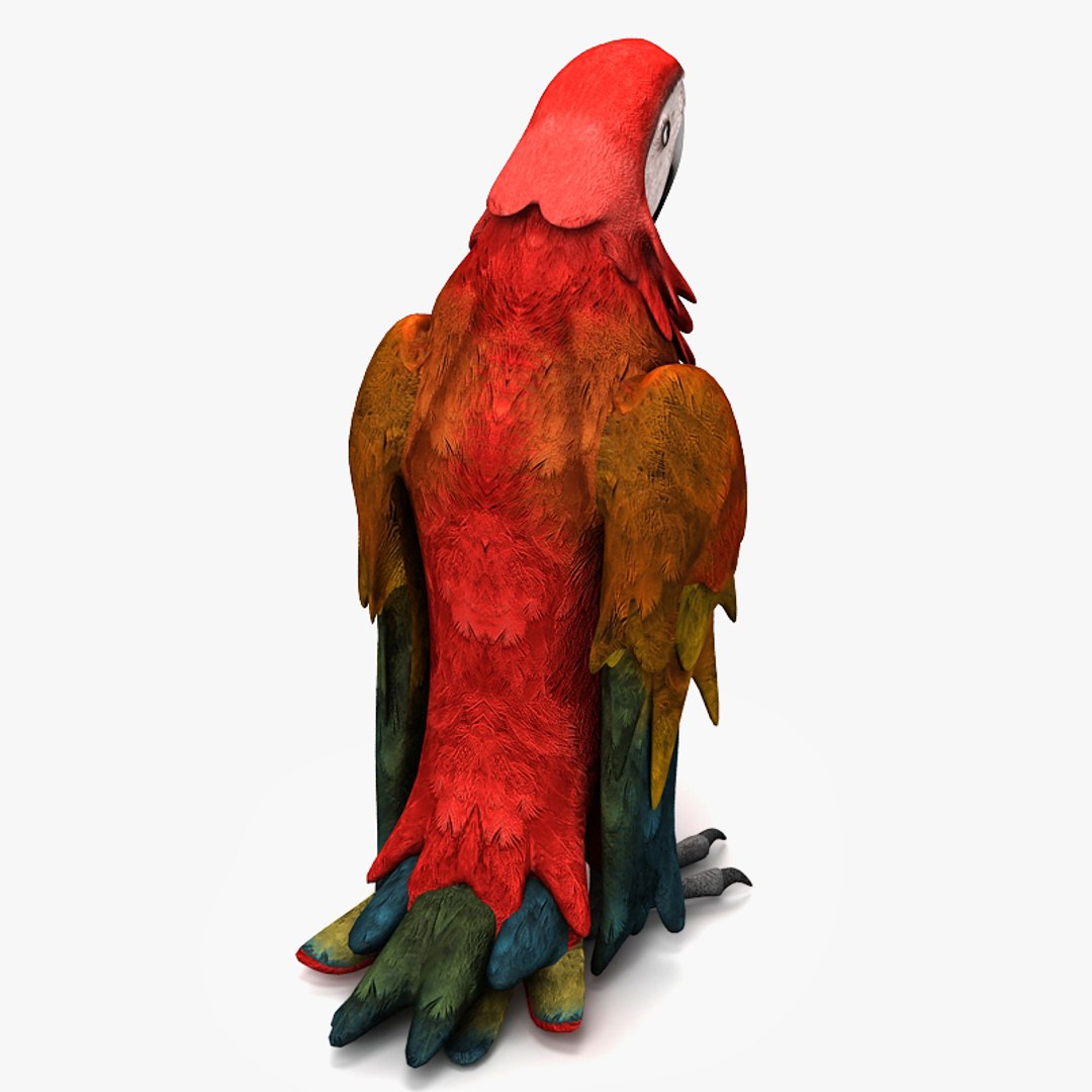 Max Parrot Species