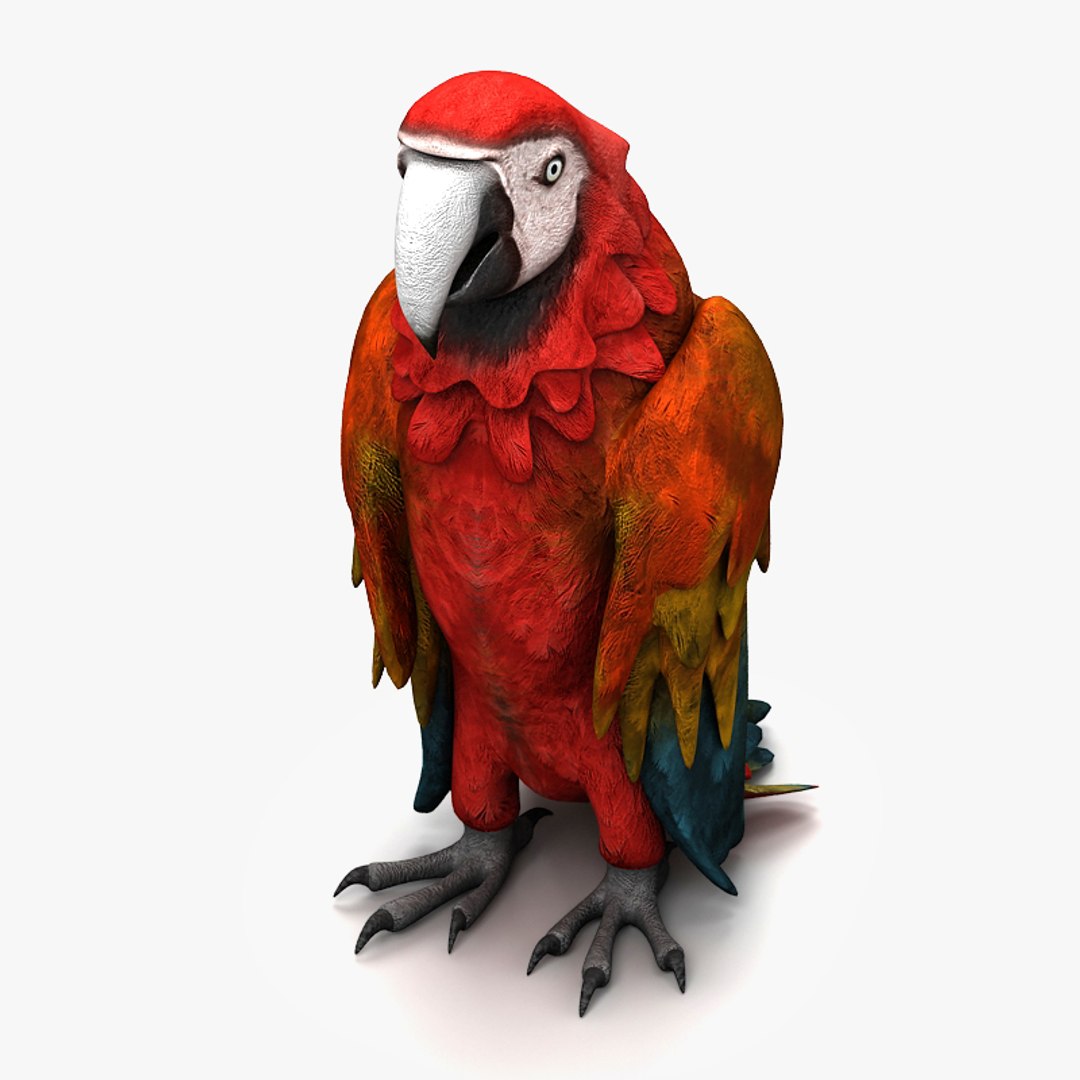 Max Parrot Species