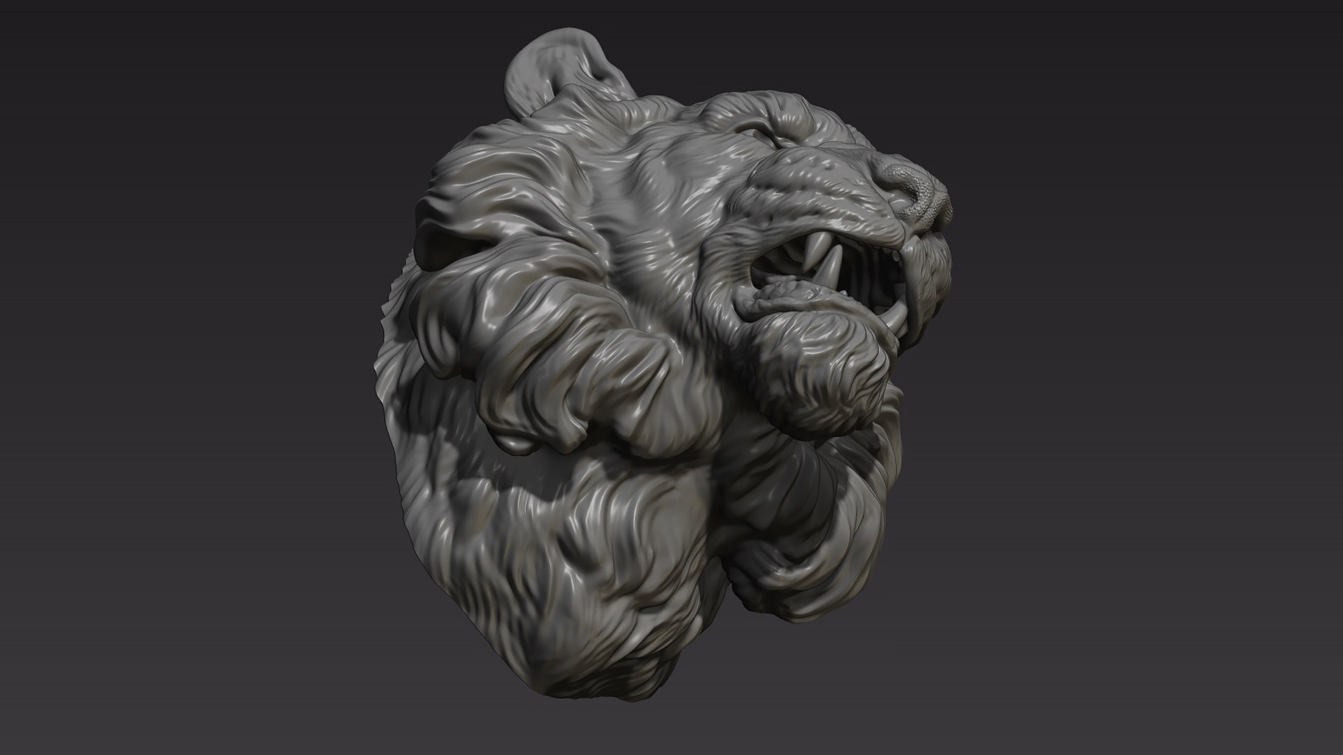 3D Tiger Head Shaggy Model - TurboSquid 1921320