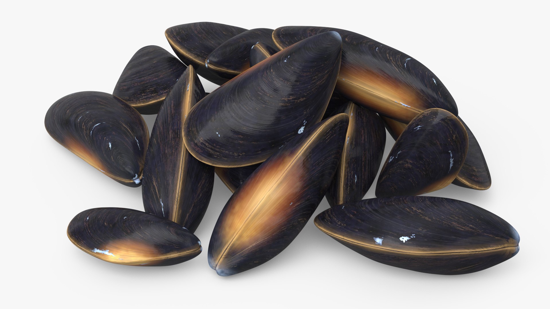 Bunch Of Clams 3D Model - TurboSquid 2228035