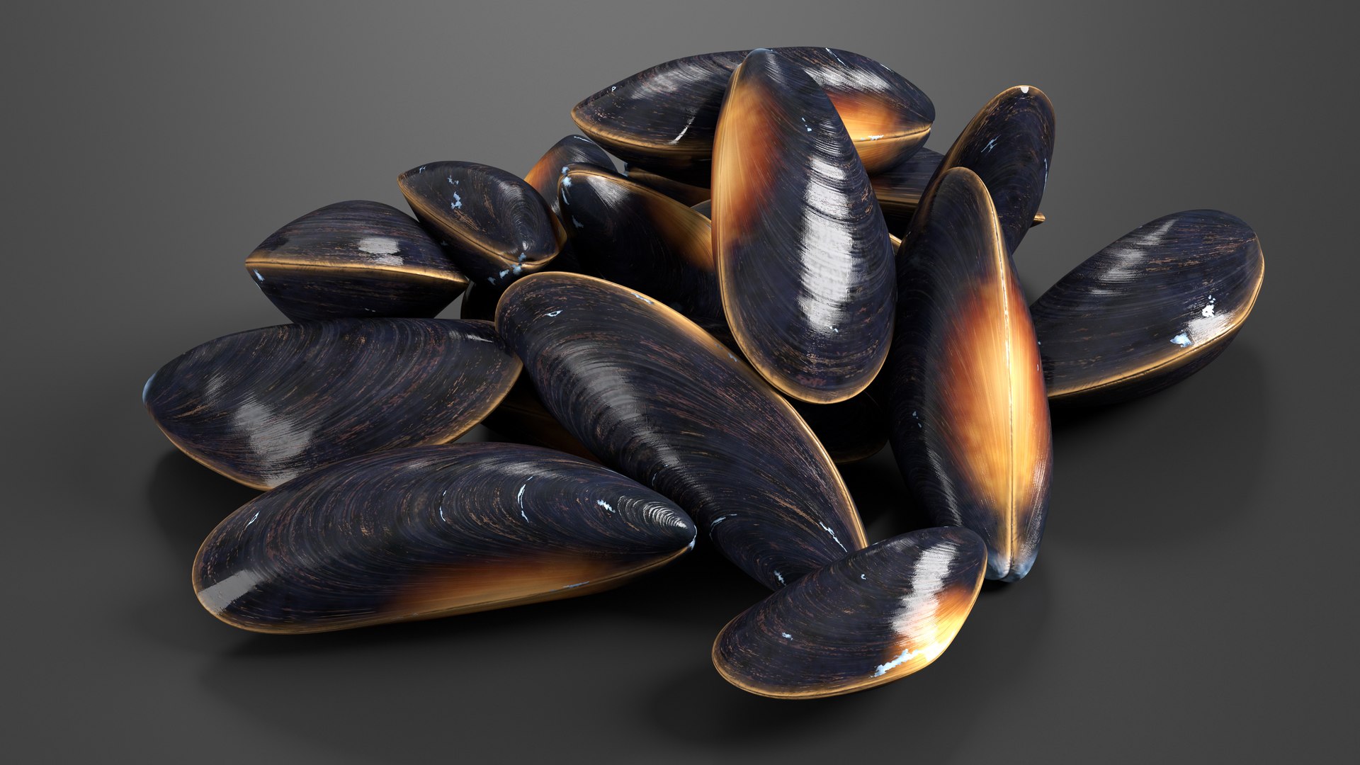 Bunch Of Clams 3D Model - TurboSquid 2228035