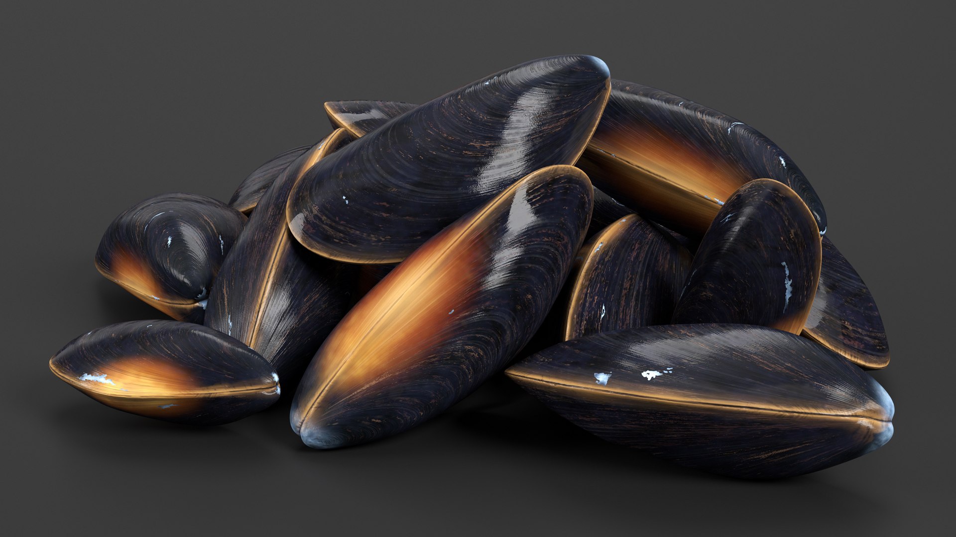 Bunch Of Clams 3D Model - TurboSquid 2228035