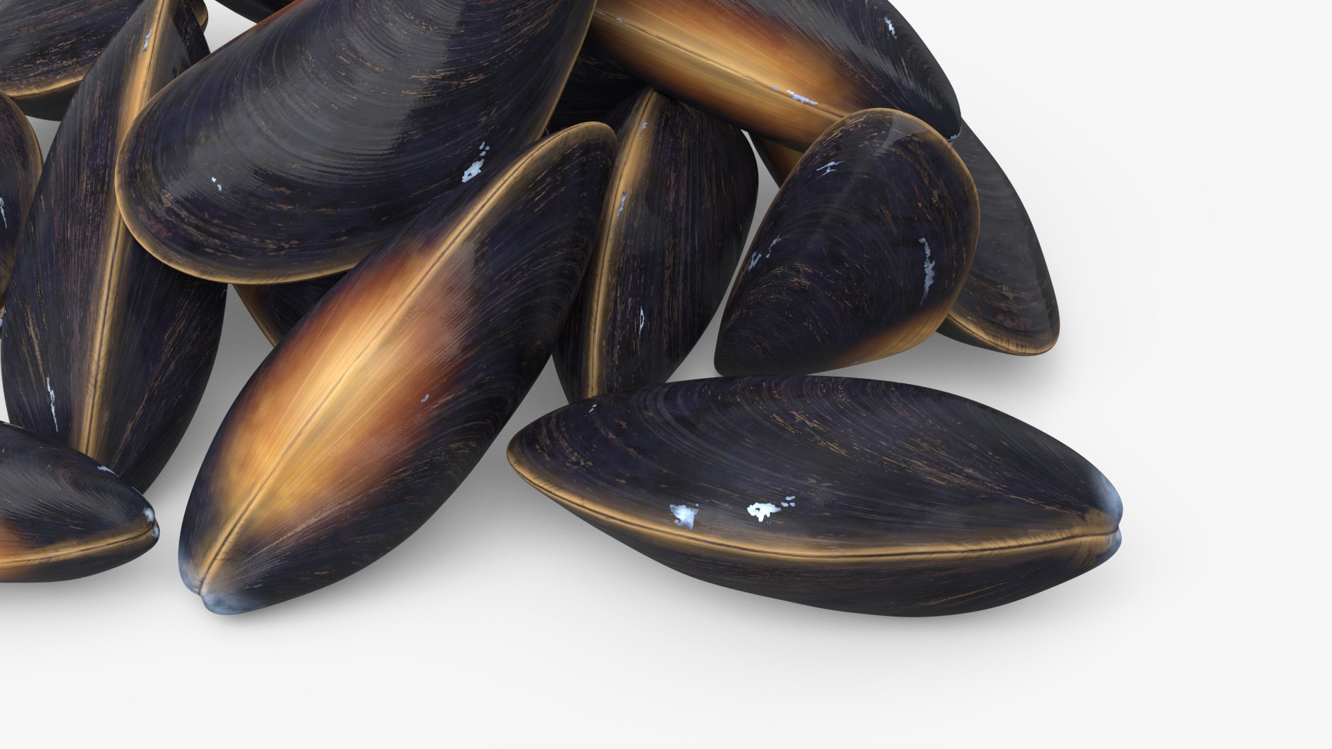 Bunch Of Clams 3D Model - TurboSquid 2228035