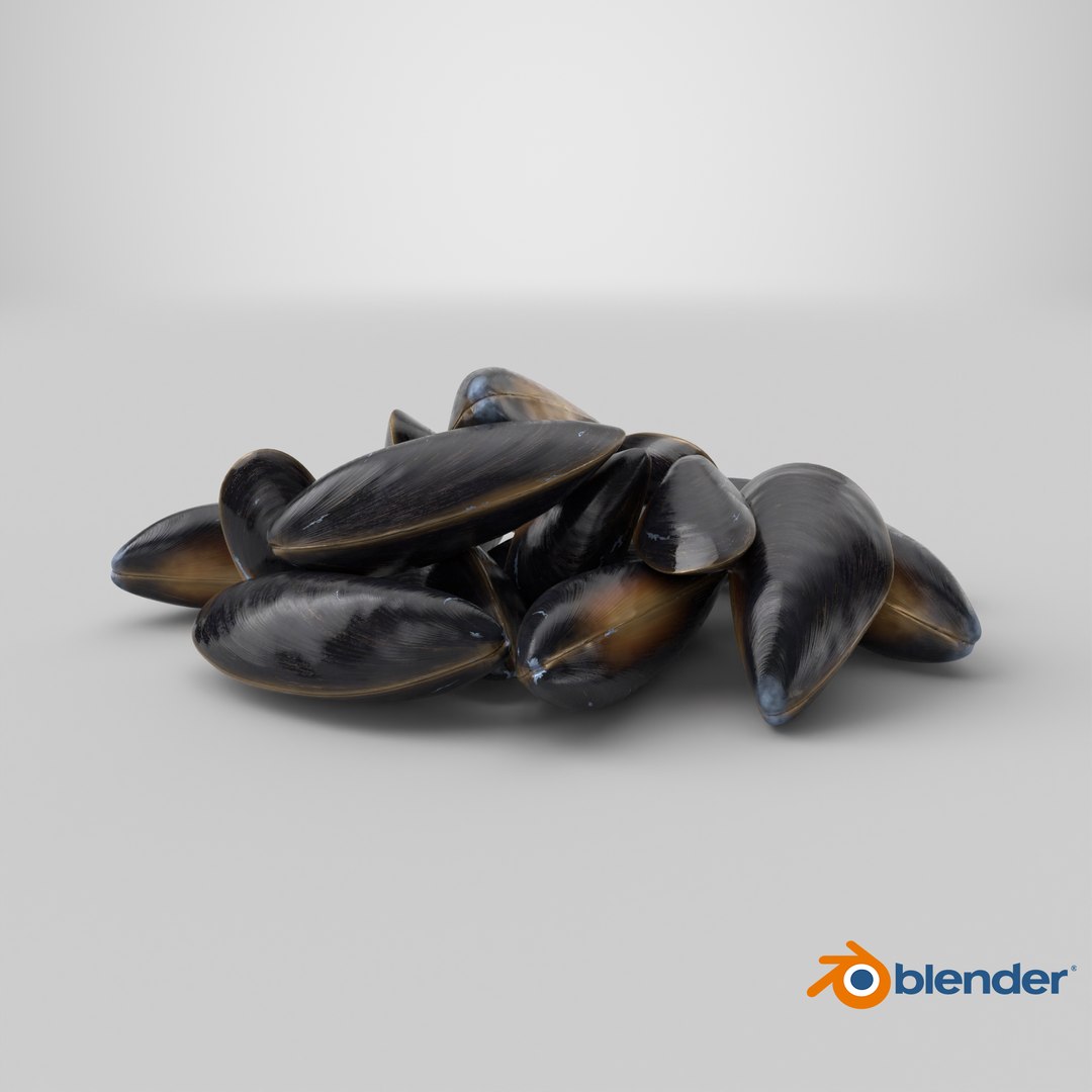 Bunch Of Clams 3D Model - TurboSquid 2228035