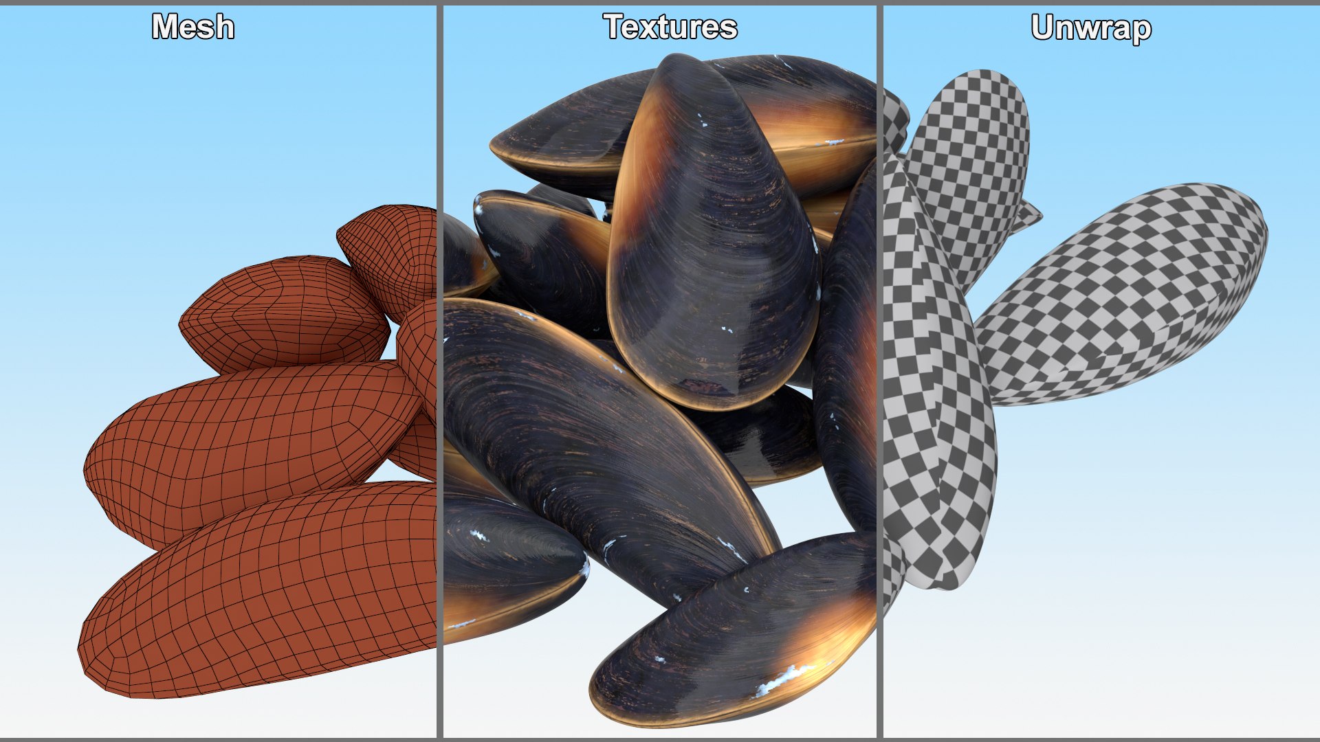 Bunch Of Clams 3D Model - TurboSquid 2228035