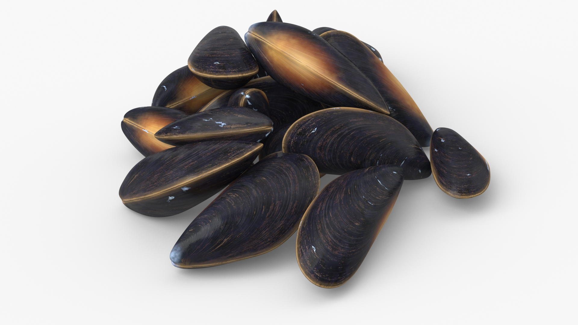 Bunch Of Clams 3D Model - TurboSquid 2228035