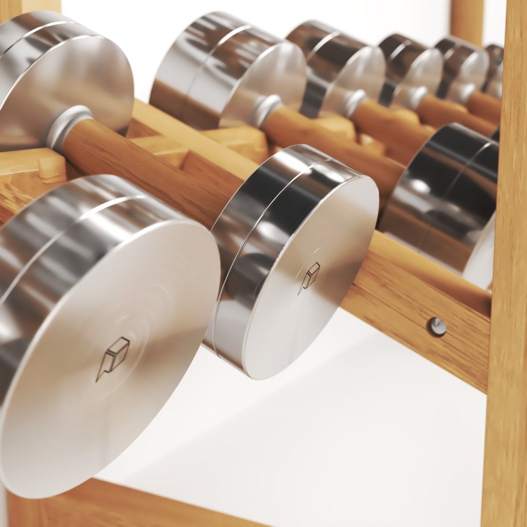 Free 3D Paragon Studio Gym Luxury Horizontal Dumbbell Rack 2Tier ...