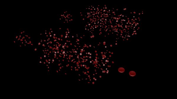 3d blood cell microscopic model
