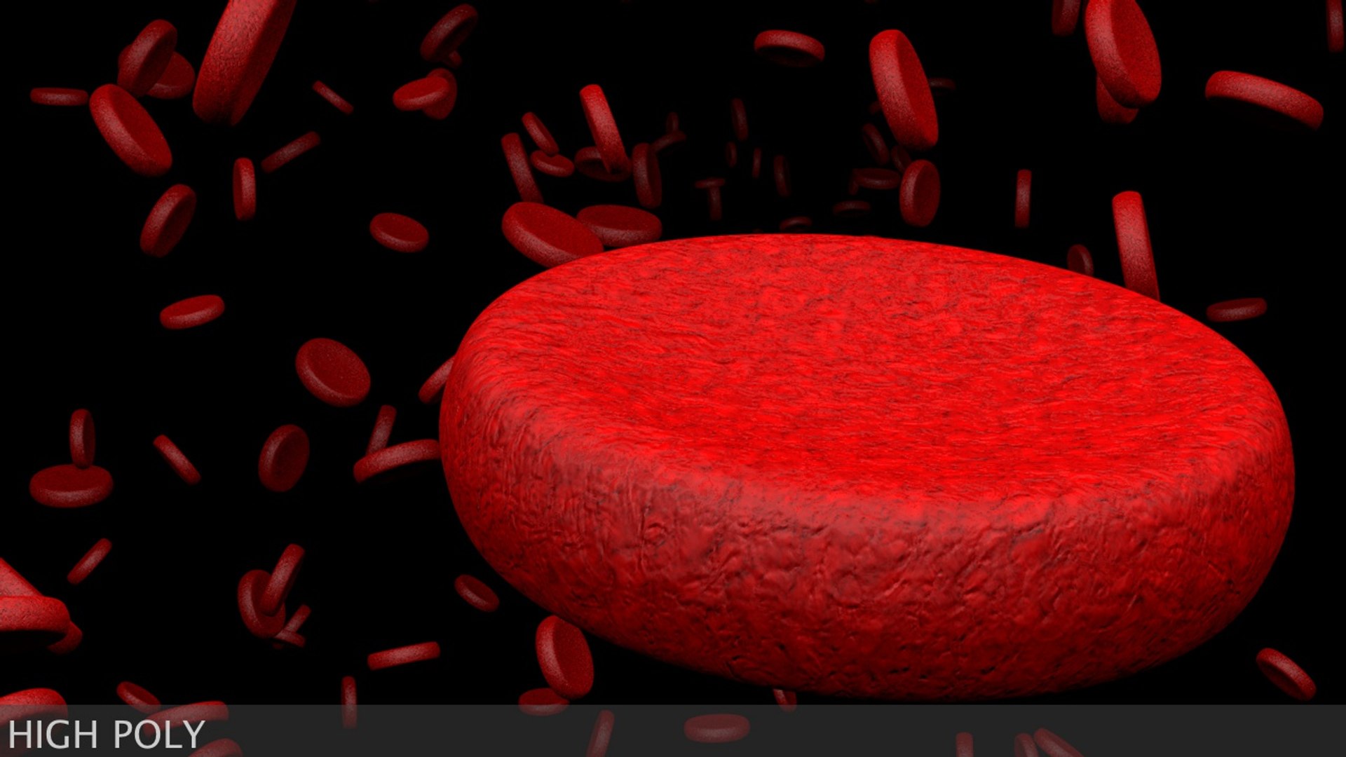 3d Blood Cell Microscopic Model