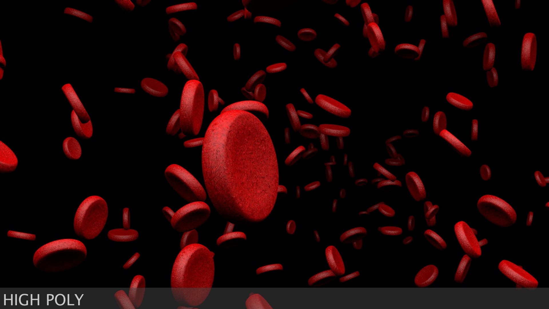 3d Blood Cell Microscopic Model