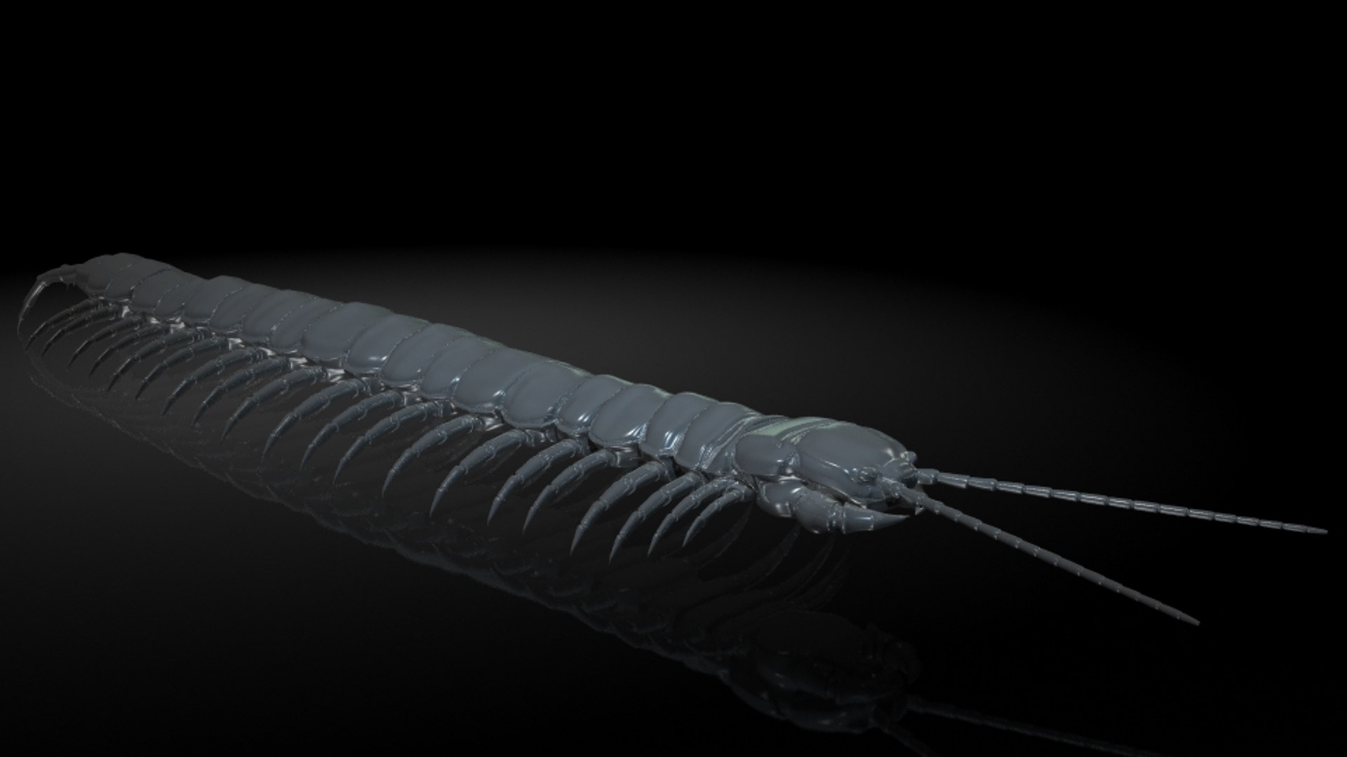 Centipede Insects Model - TurboSquid 1324077