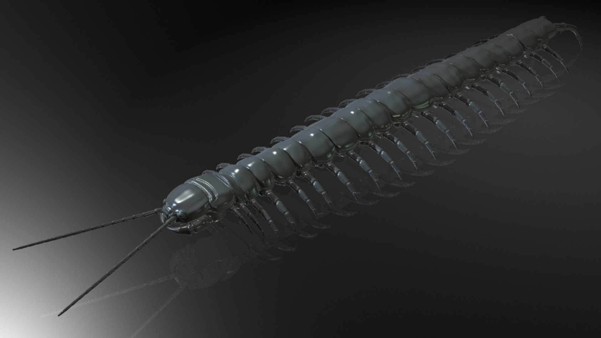 Centipede Insects Model - TurboSquid 1324077