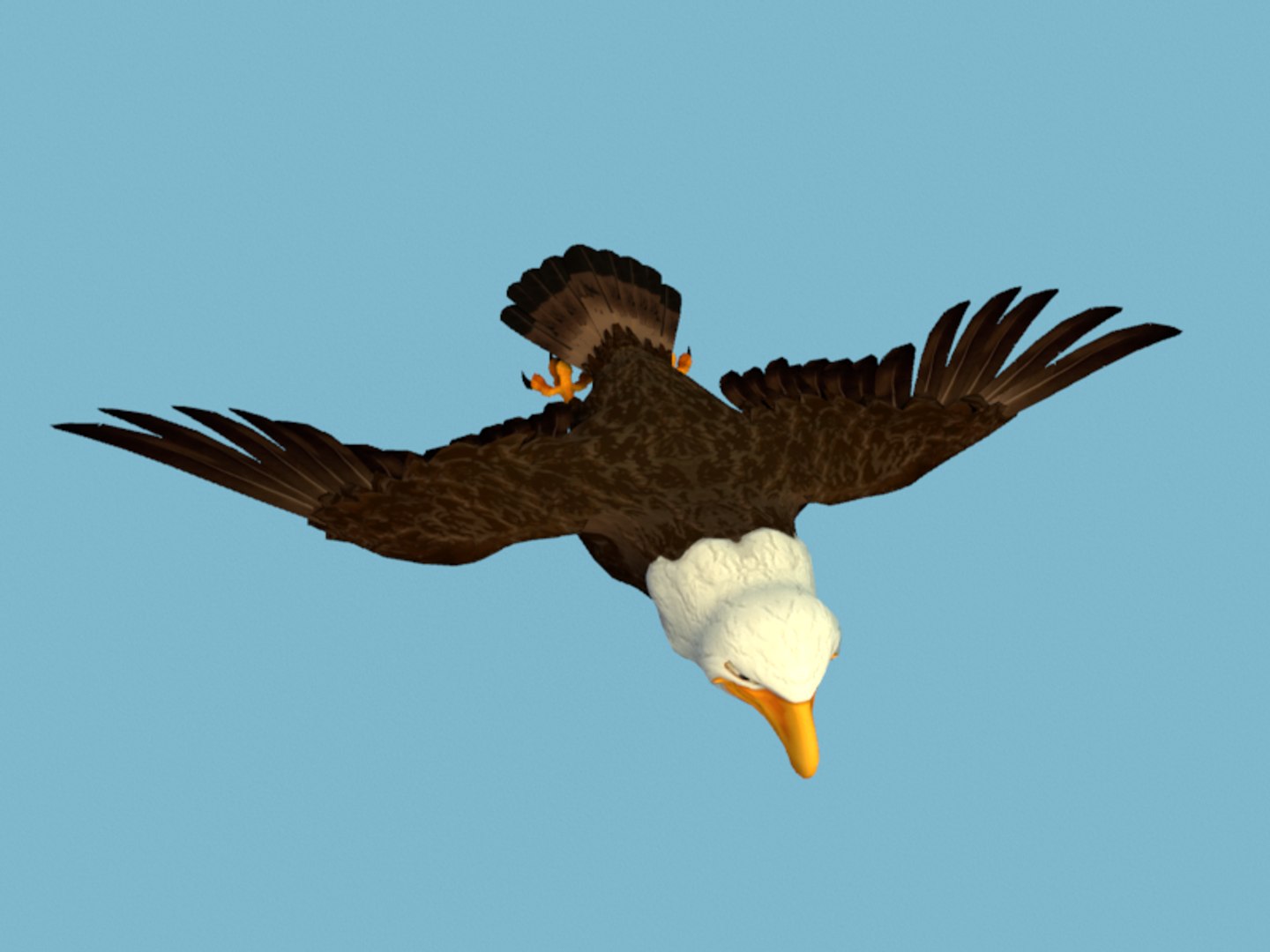 Eagle 3D Model - TurboSquid 1380825
