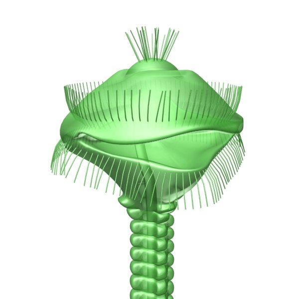 stage metaphora 3d model