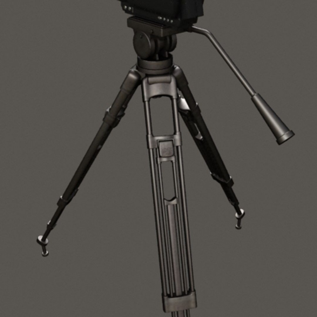 3d Camera Walking
