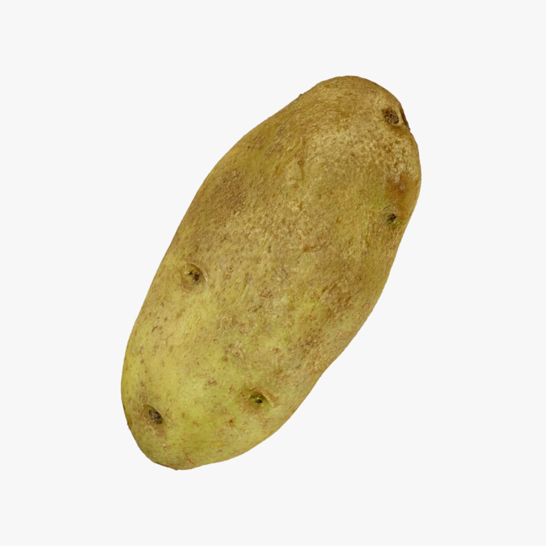 Photoreal 3D Scanned Potato Model - TurboSquid 1842767