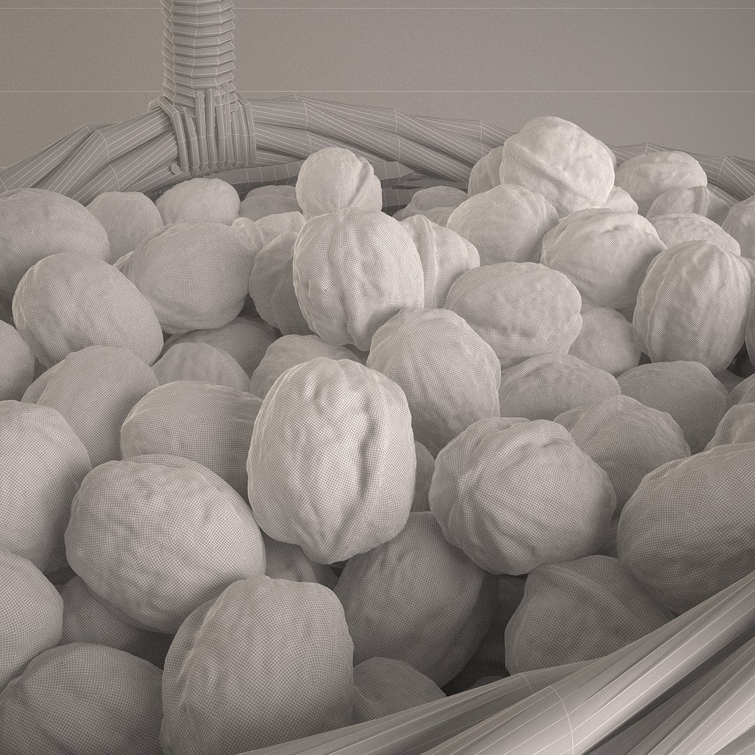 Walnuts Basket Model - TurboSquid 1578039