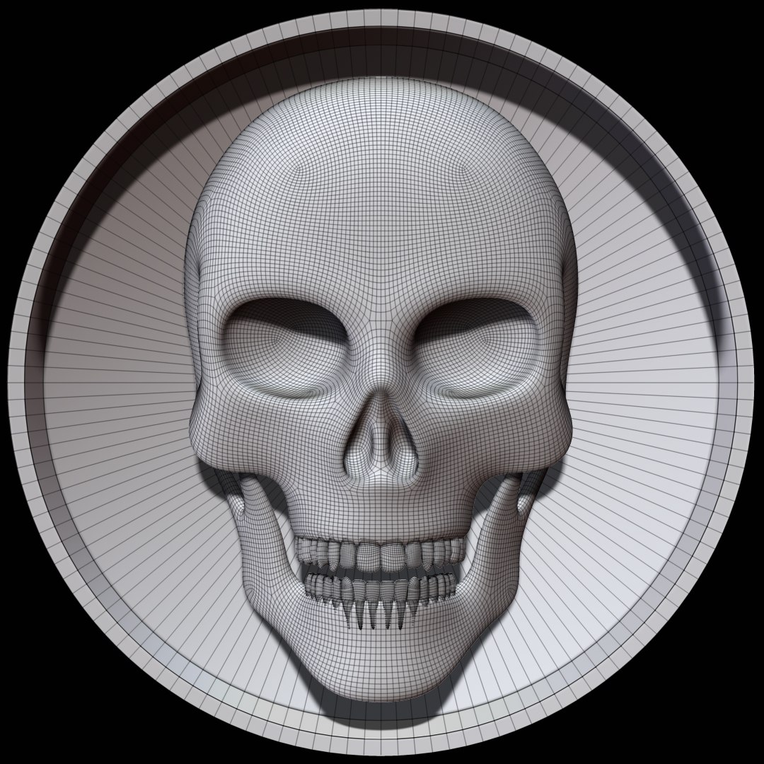 Skull Relief Model - TurboSquid 1205009