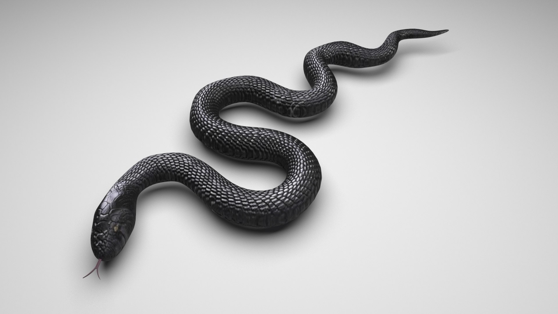 3D Snake - TurboSquid 1841718