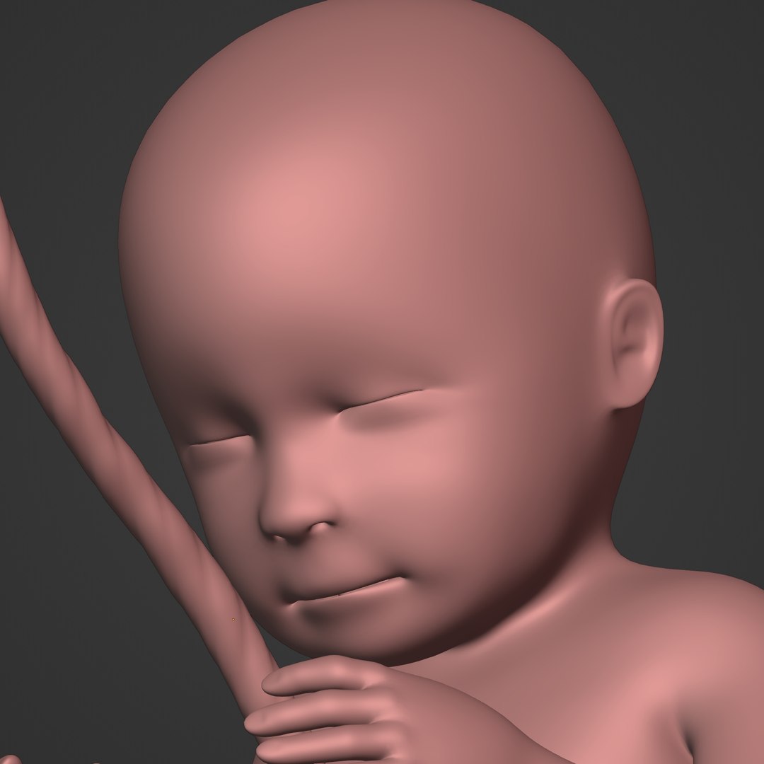 3D Fetus model - TurboSquid 1857365