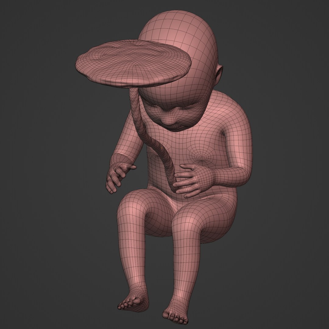 3D Fetus Model - TurboSquid 1857365