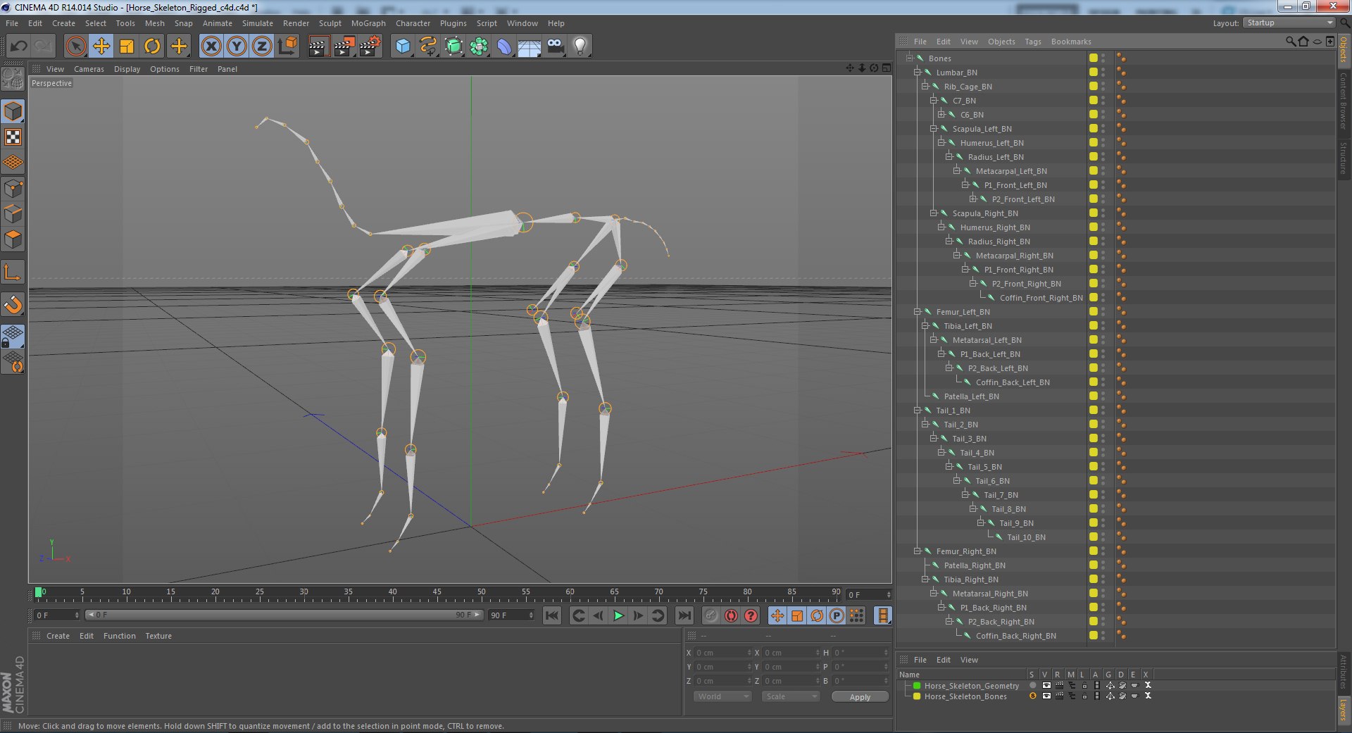 Horse skeleton rigged 3D model - TurboSquid 1379278