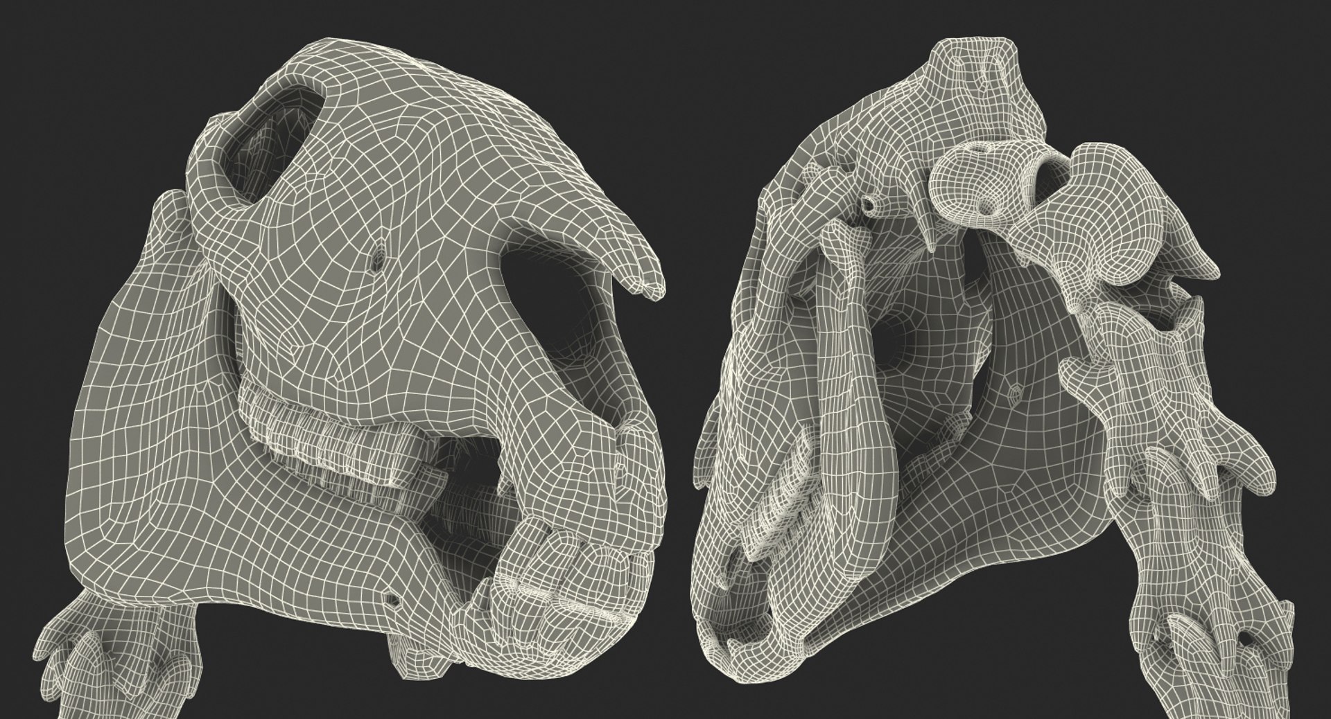 Horse skeleton rigged 3D model - TurboSquid 1379278