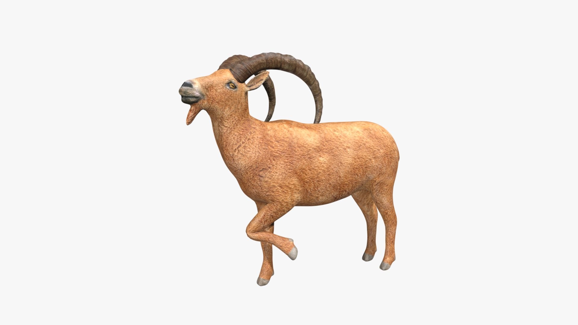 3D Model Rigged Low Poly Ibex - TurboSquid 1812526