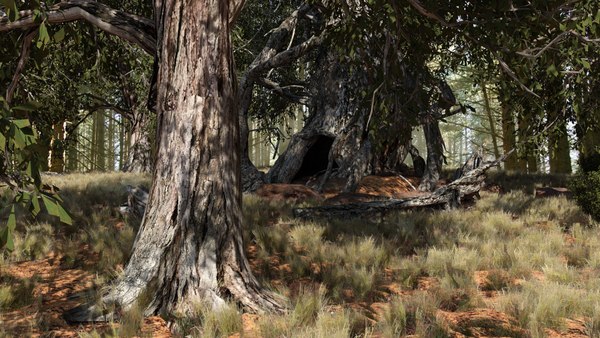 Free 3D Vray-Tree Models | TurboSquid