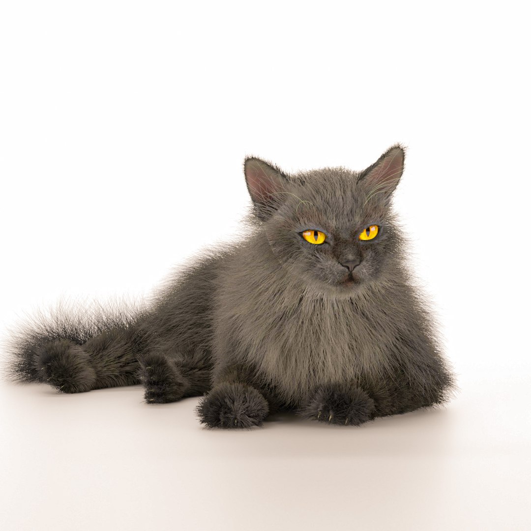 Cat 3D - TurboSquid 1709066