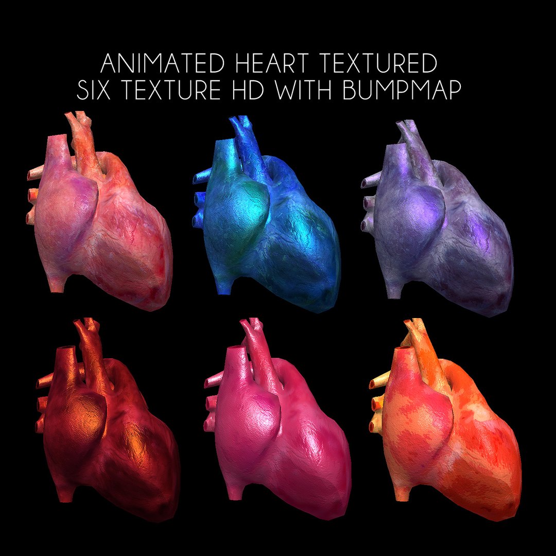Heart Anatomy Cycle Animation 3d 3ds