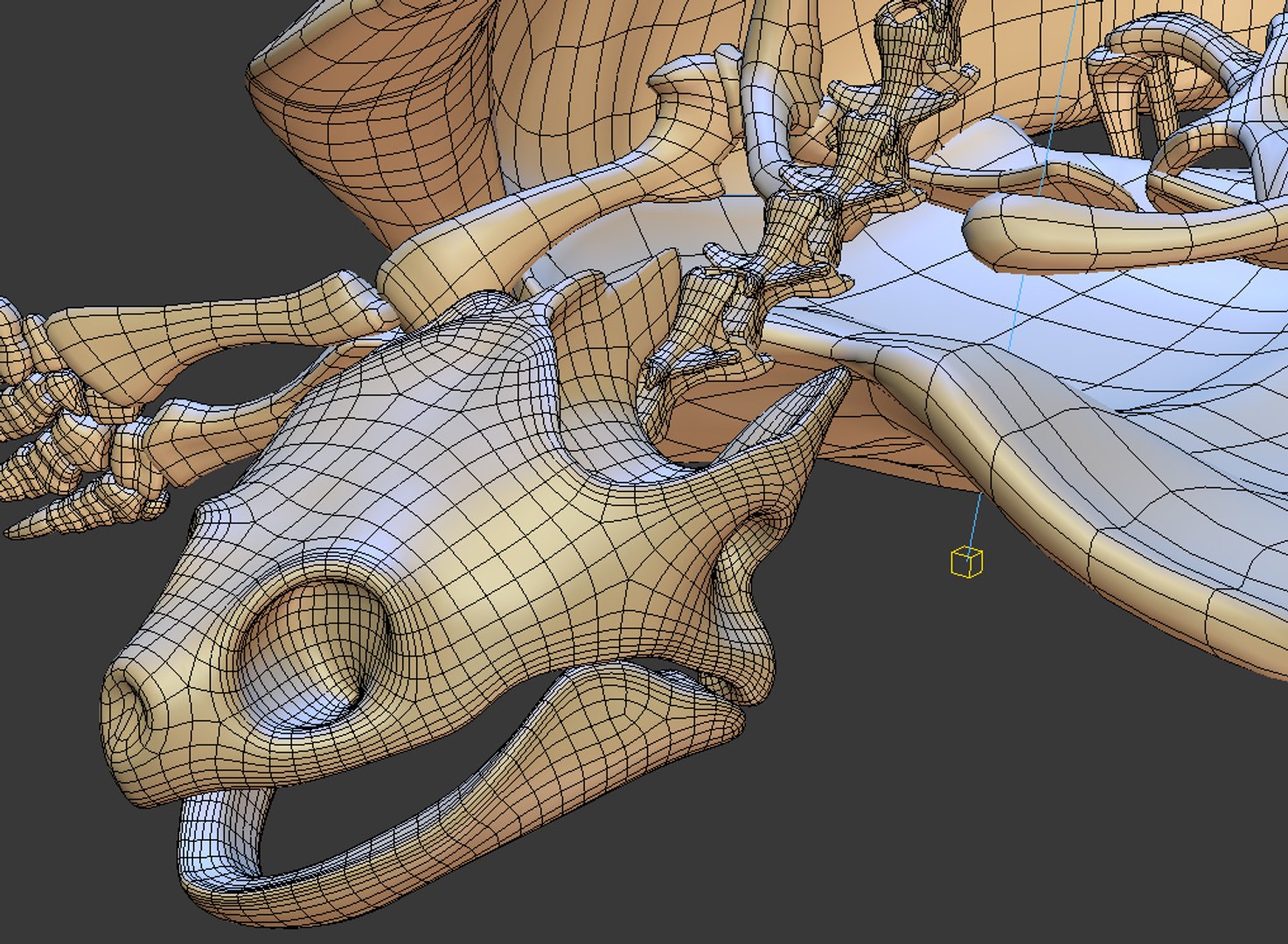 Turtle Skeleton 3D Model - TurboSquid 1228639