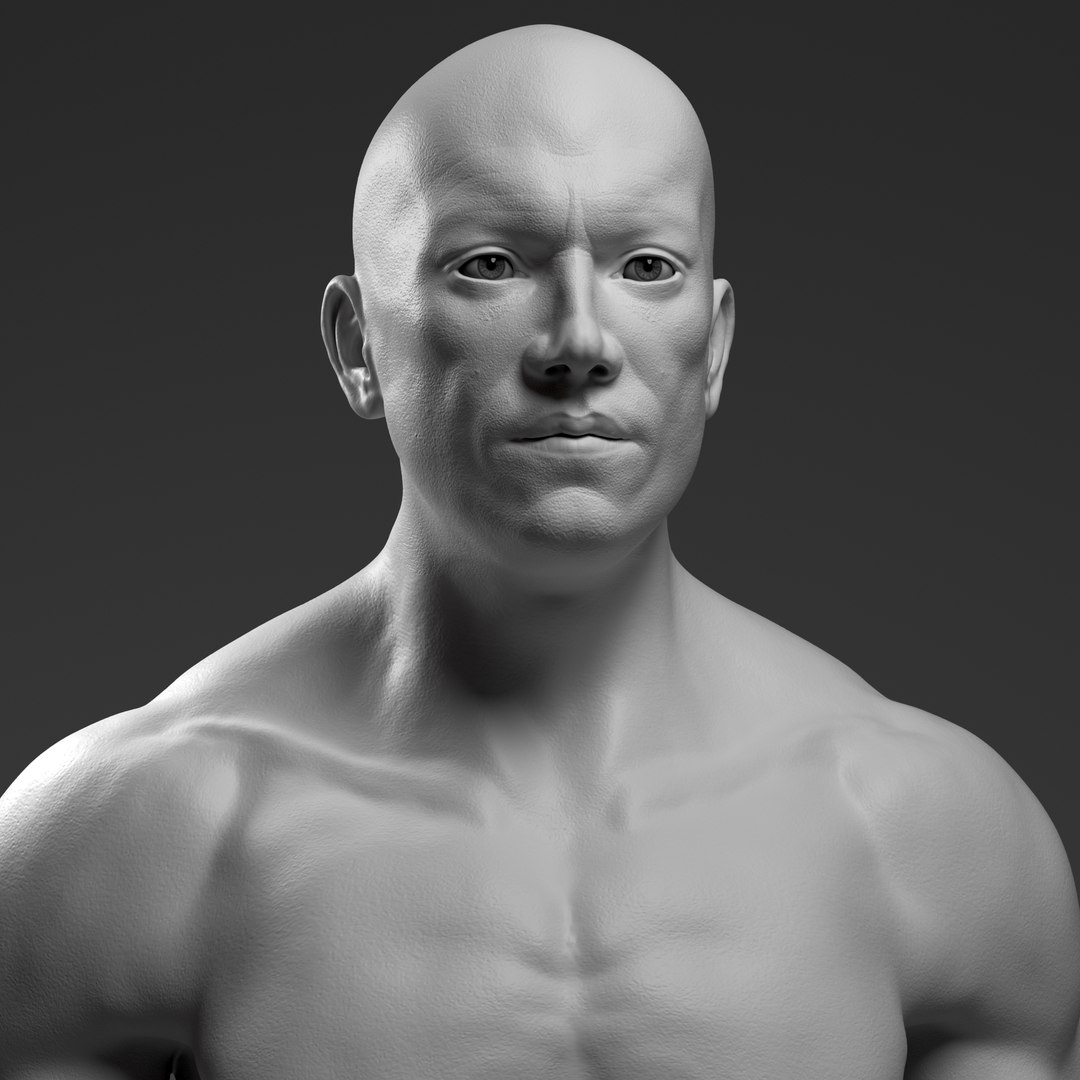 Realistic Base Mesh 3D Model - TurboSquid 1967264